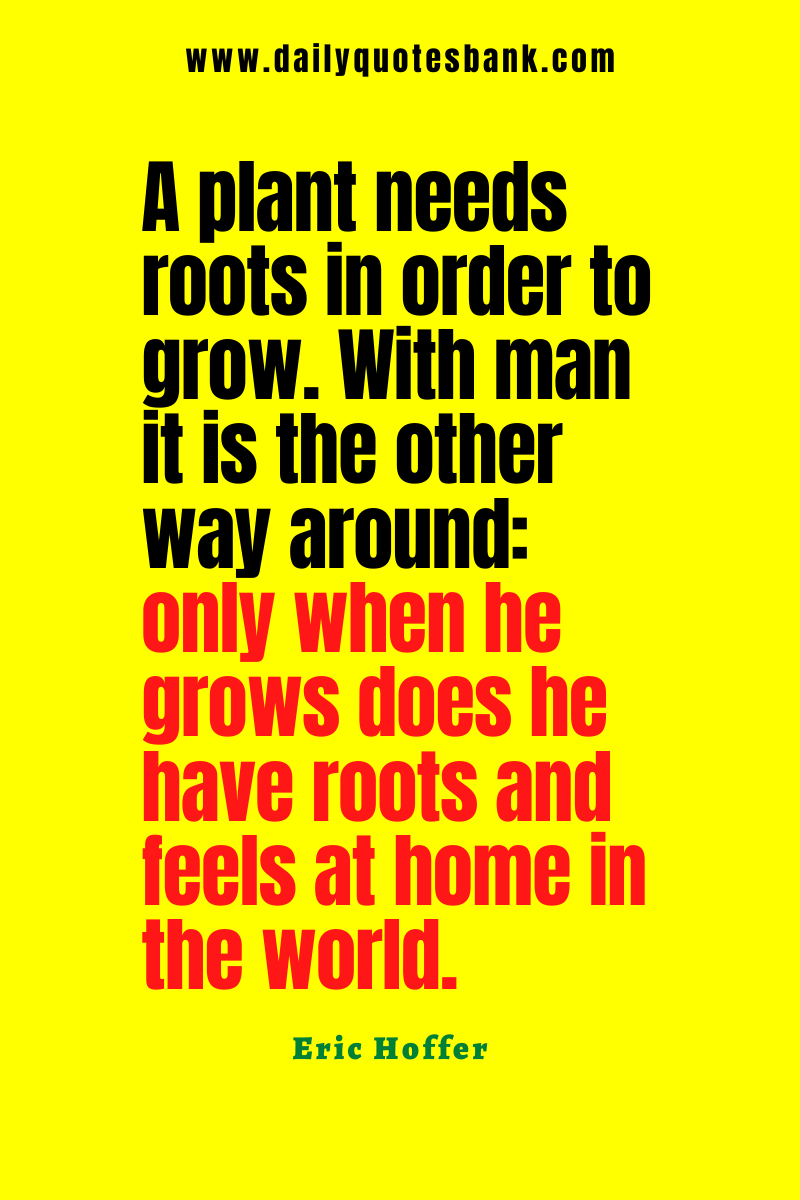 101 Roots Quotes That Will Help Always Remember Your Roots