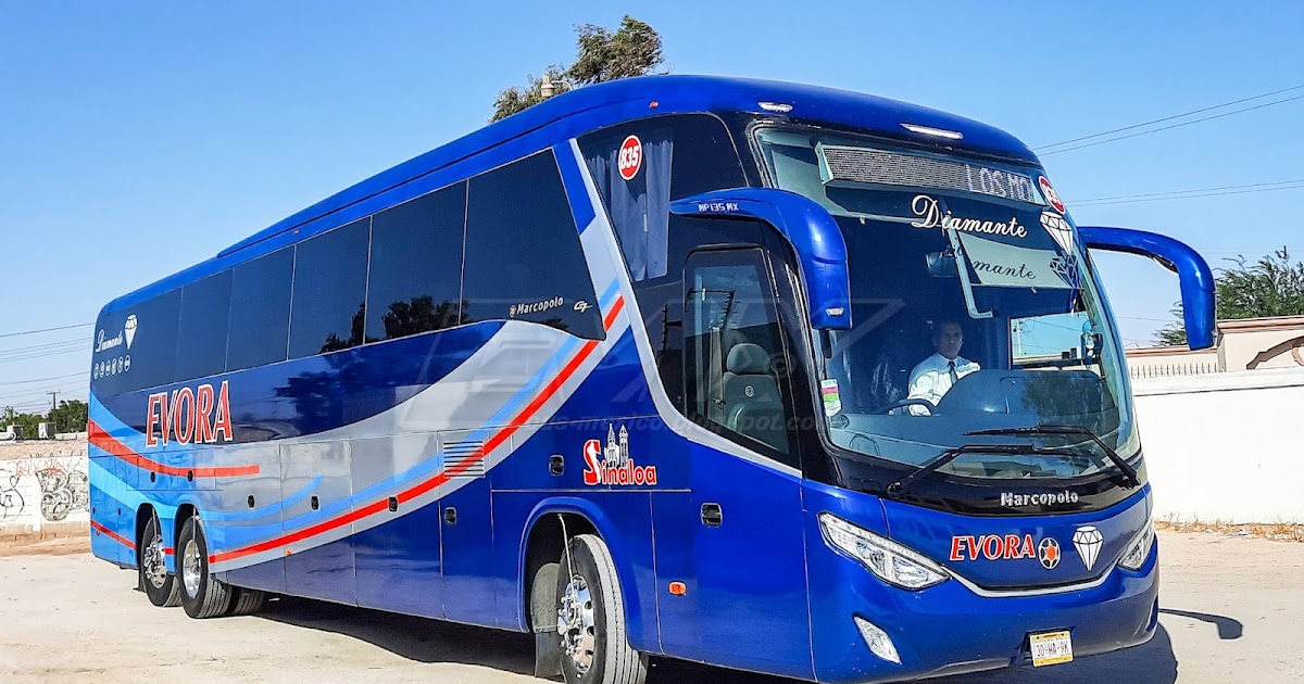 Autobuses del Evora: Diamante - Bus-México