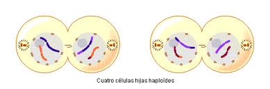 Biologia Sexto Quibio: abril 2012