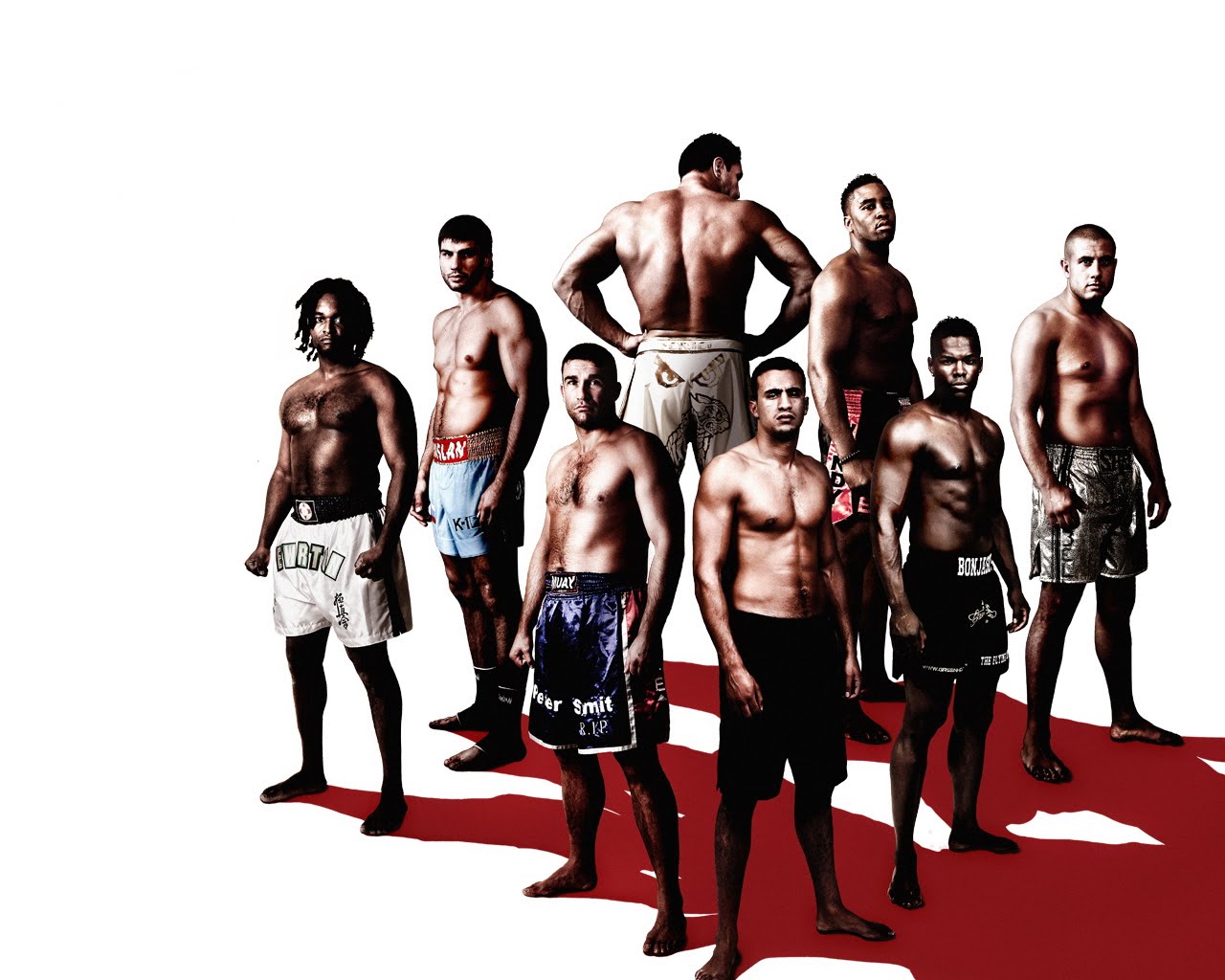 Actualité K1: Champions du Kick boxing it's showtime et k1