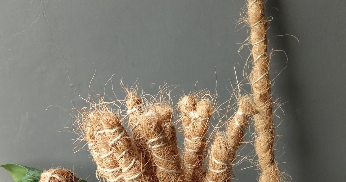 DIY turus penyangga tanaman