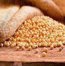 Health Benefits of the Soya Bean |රස ගුණ පිරි සෝයා බෝංචි - Nutrition ...