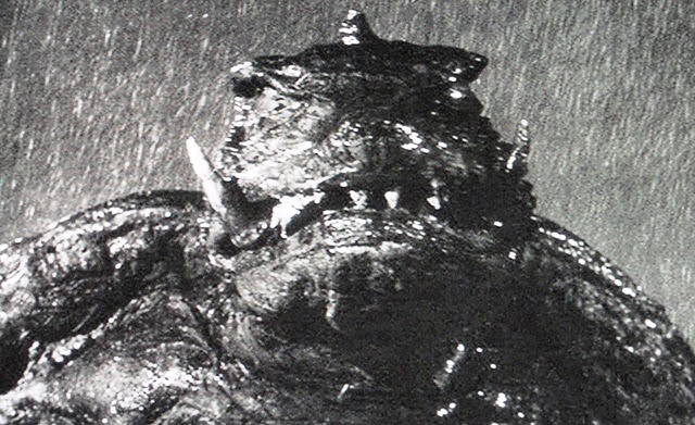 MUSINGS OF A SCI-FI FANATIC: Gamera: The Giant Monster