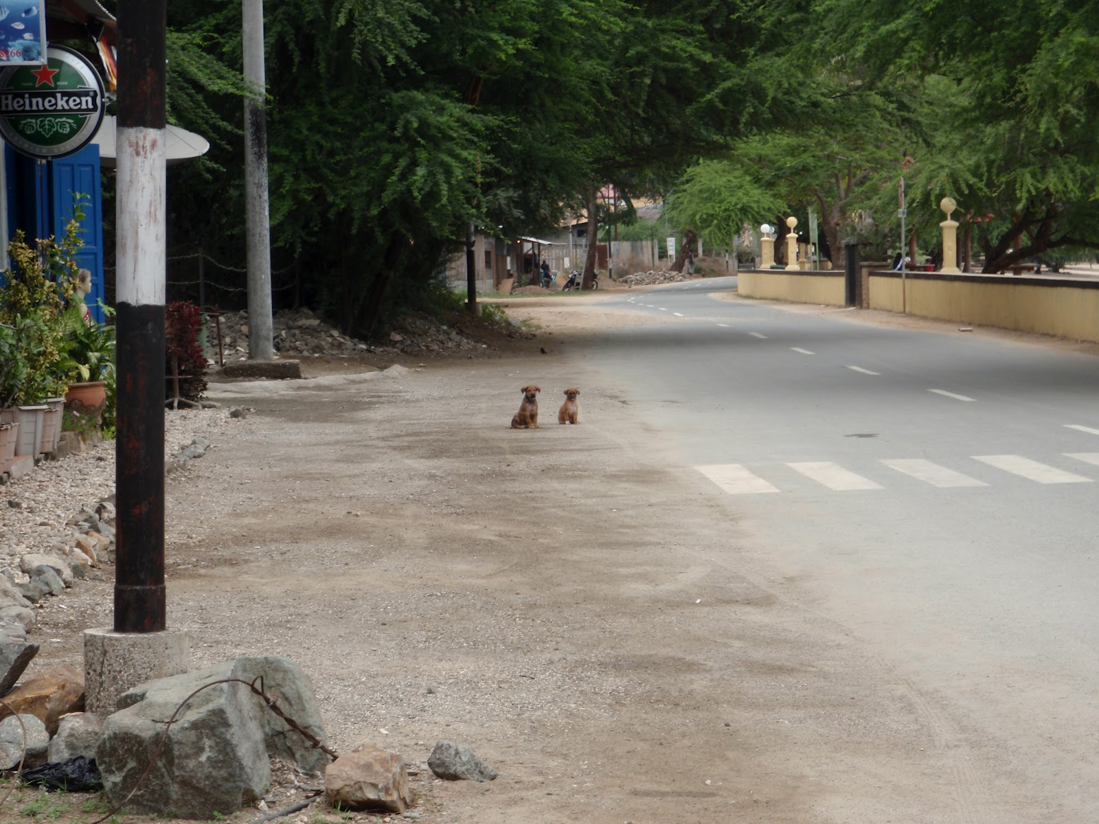 Travelling Around Australia in a Lemon: East Timor