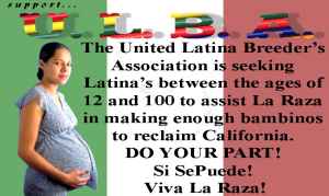 Hla Oo's Blog: No More Anchor-Babies: Ending Birthright Citizenship