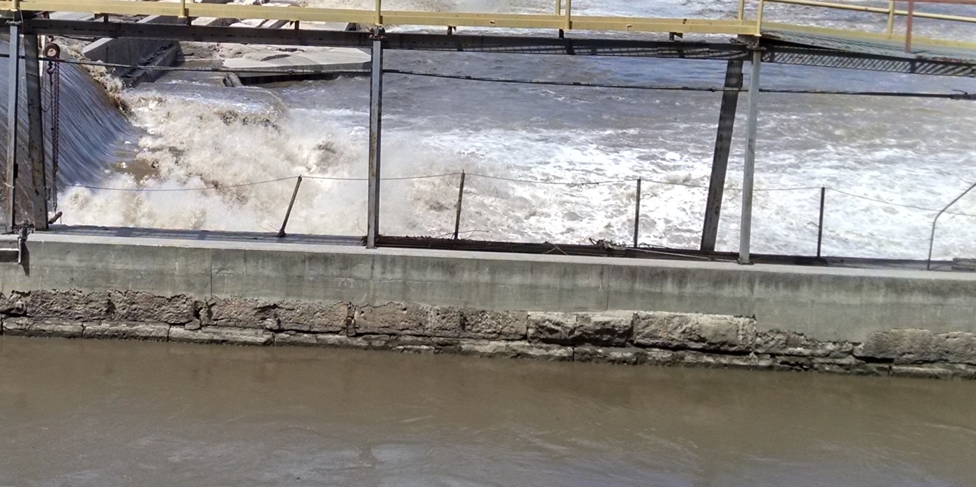 Quick Fiction by Nick Fisherman: Microstory 1135: Mario Matic