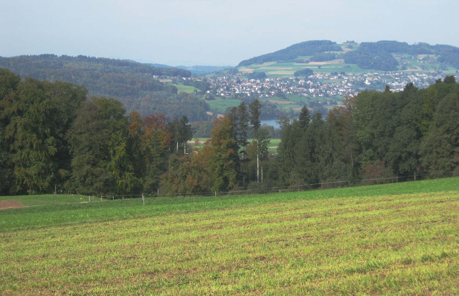 Wanderlust: Gelfingen – Hitzkirch – Aesch – Mosen, 28.09.2017