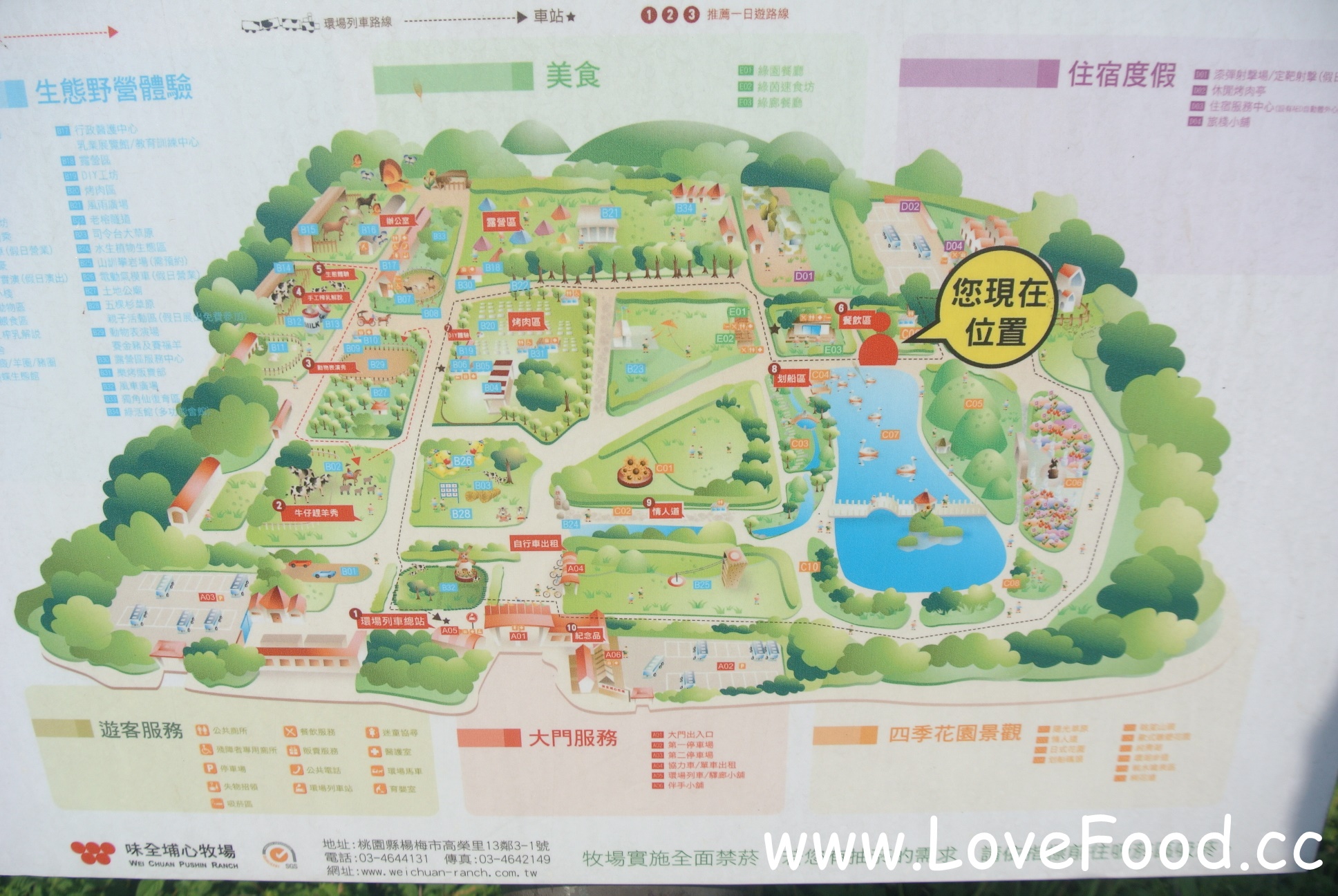 【桃園楊梅】埔心牧場-來趟乳牛生態之旅 適合多人團康的大草坪-pushin ranch