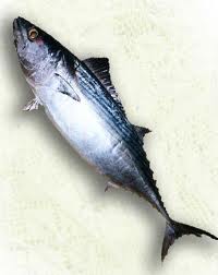 LA COCINA DE ORI: BONITO DEL SUR (Sarda Sarda) CON TOMATE