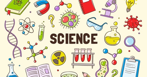 Grade 6 - Science/EM/ ACTIVITY: 4