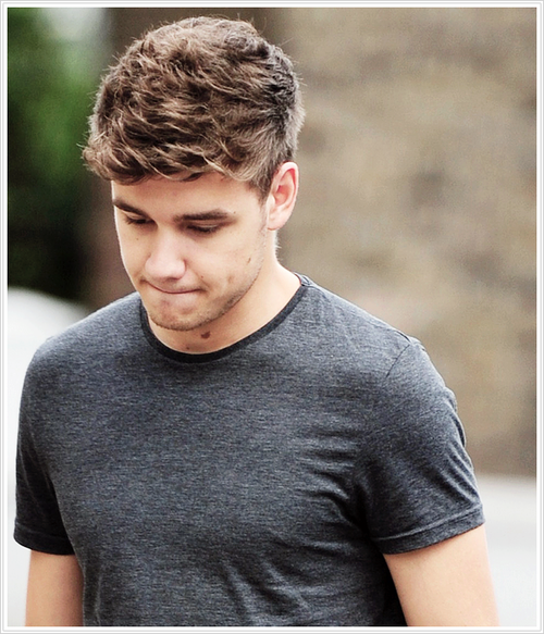 Just One Directioner.