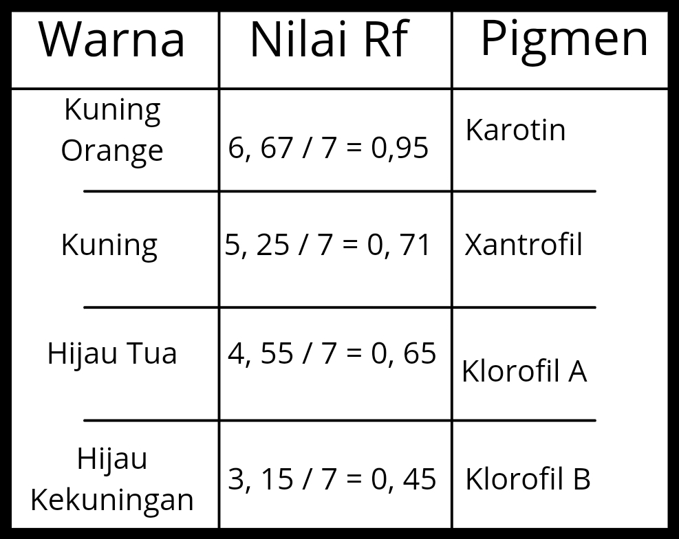 MENENTUKAN NILAI RF PADA DAUN BAYAM MENGGUNAKAN METODE KROMATOGRAFI KERTAS