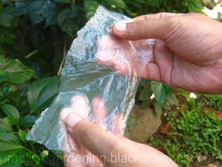 Practical Gardening: Air Layering Kit and Propagation Tips