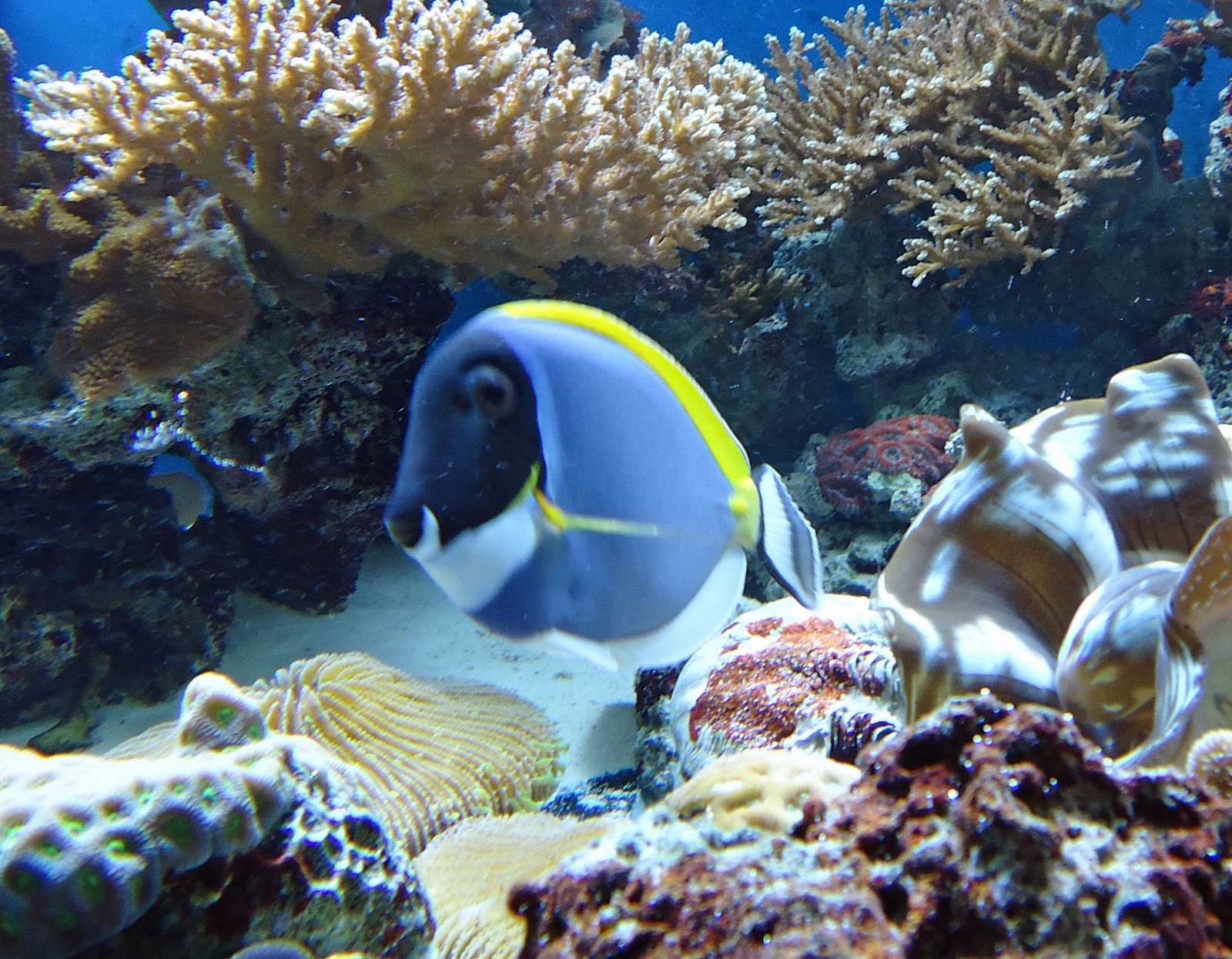 Jolene Beads: The Aquariums at Regents Park Zoo, London