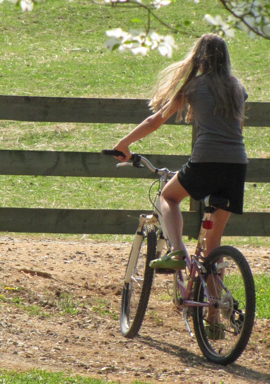 COMPOSE: Open and Closed