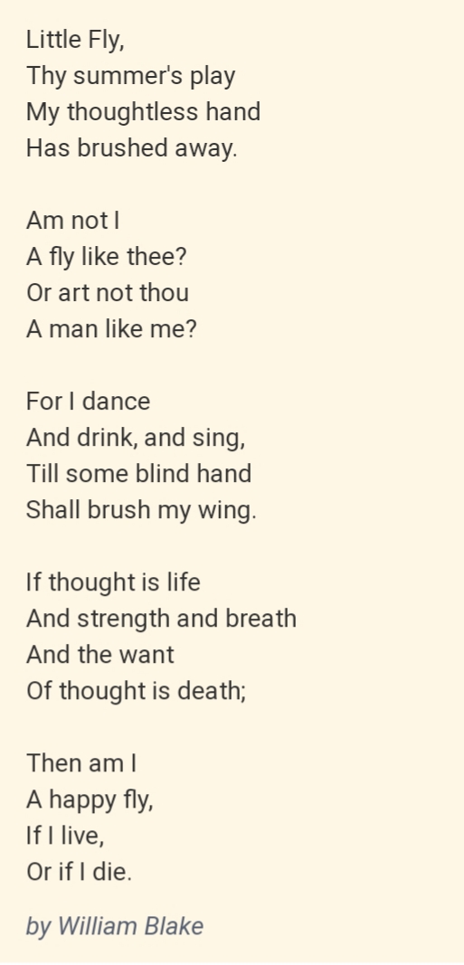 Dharaba's blog: "The Fly" by William Blake