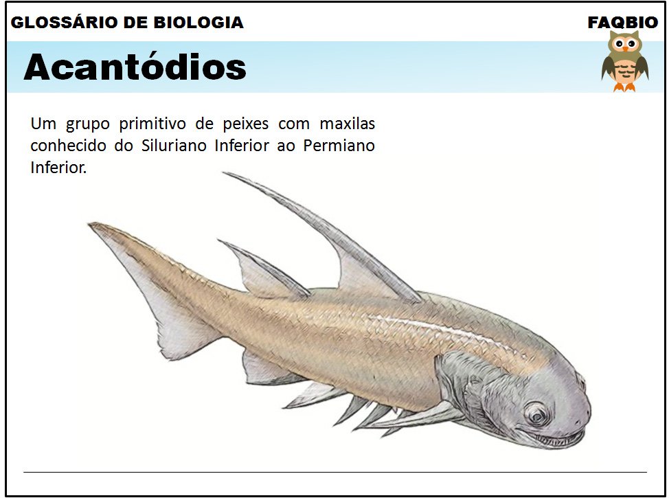 FAQBIO - Apoio ao Estudo de Biologia: Glossário de biologia: acantódios