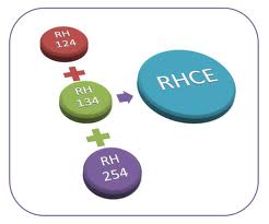 Dailson Fernandes ::.: 2011