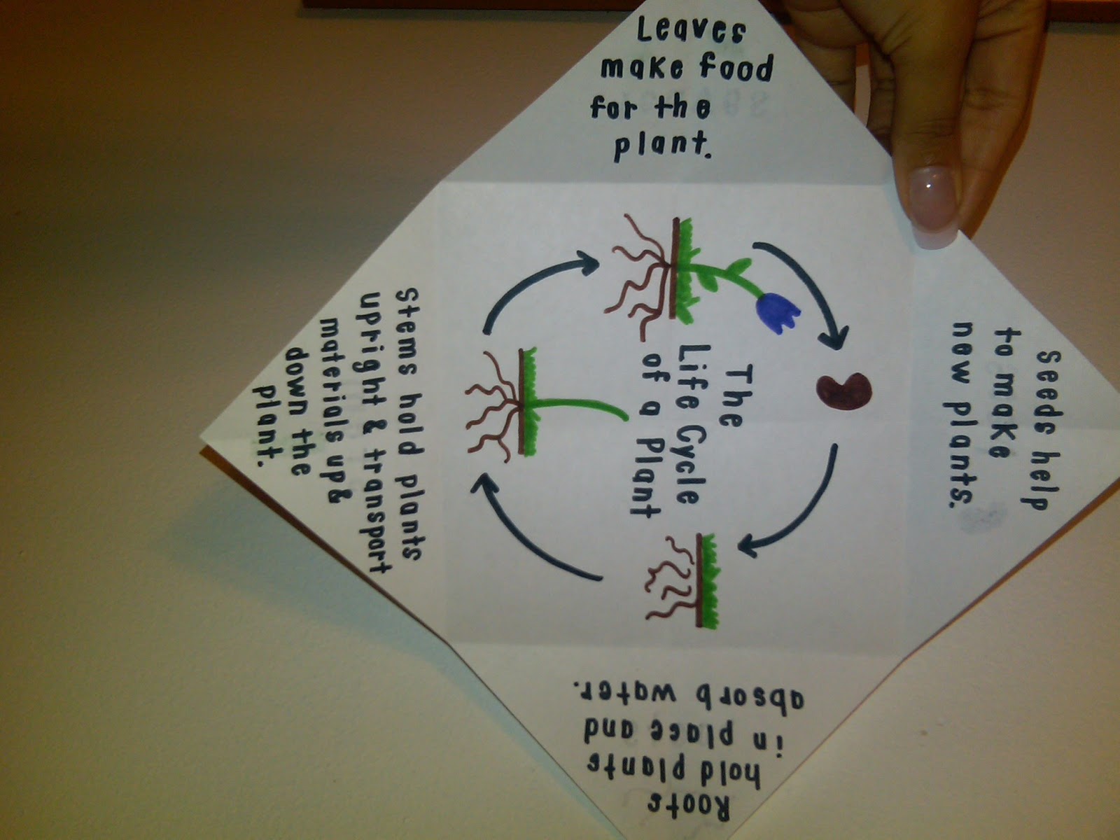 Bookish Ways in Math and Science: Unit Resource Portfolio: Plants