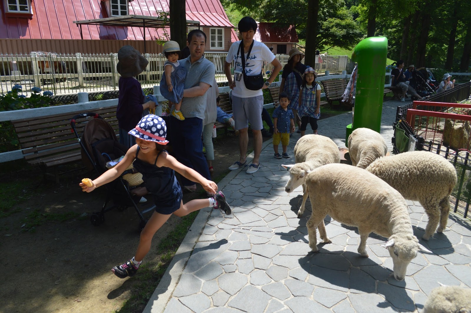 Miyu's Life: Rokko Farm! 六甲山牧場！