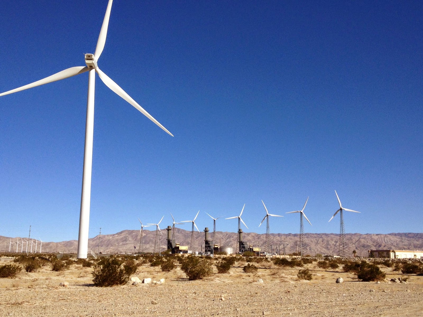 Turkey Tales and Frog Fables: Palm Springs Wind Farm Tour