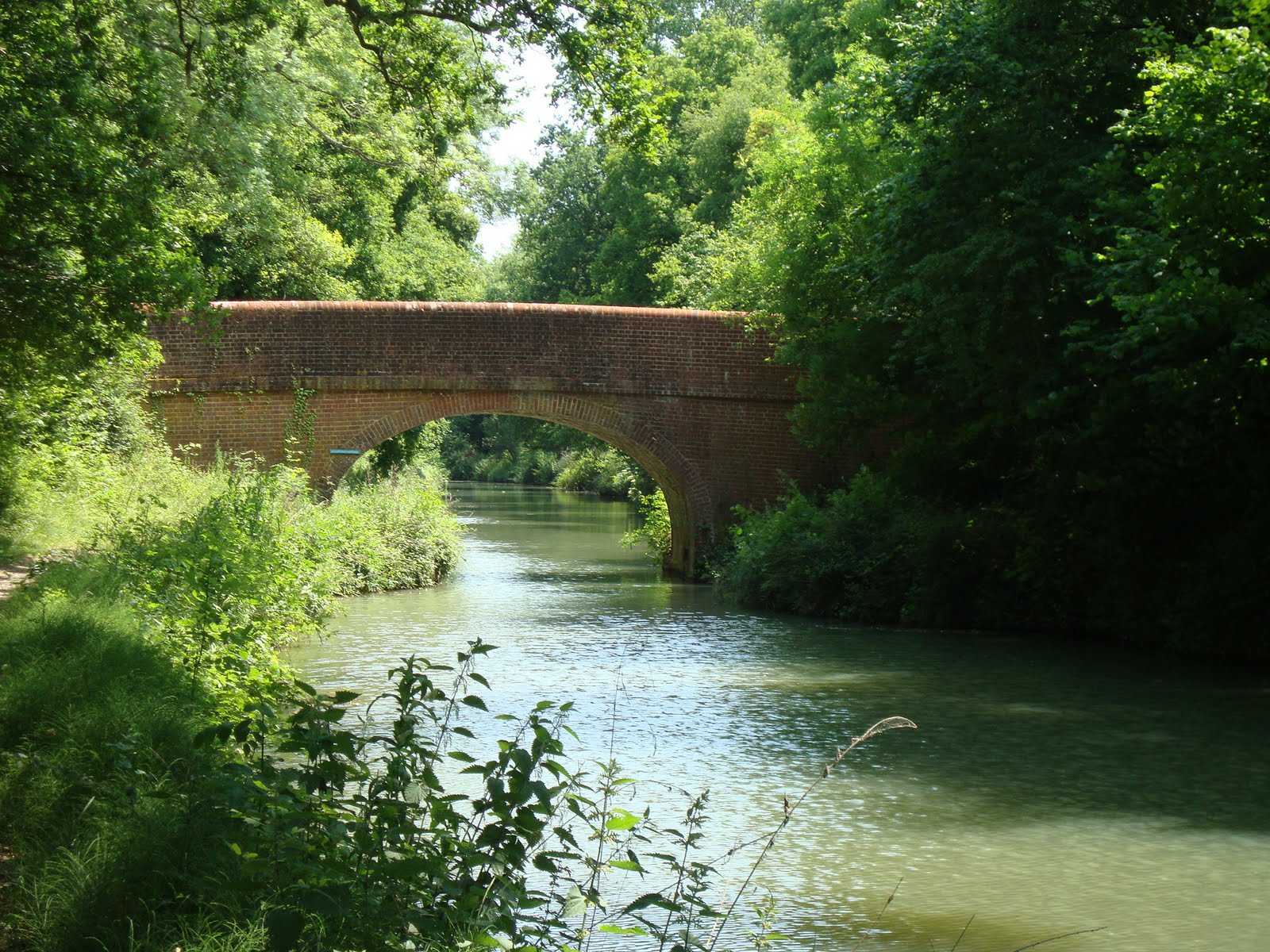 Walksalot: Basingstoke Canal - Greywell (lock 30) to Barley Mow Bridge ...