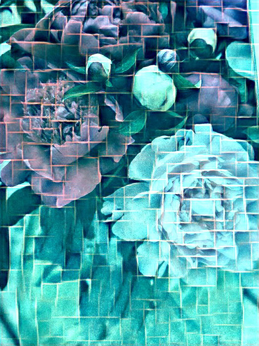 11 Digital Photo Arts