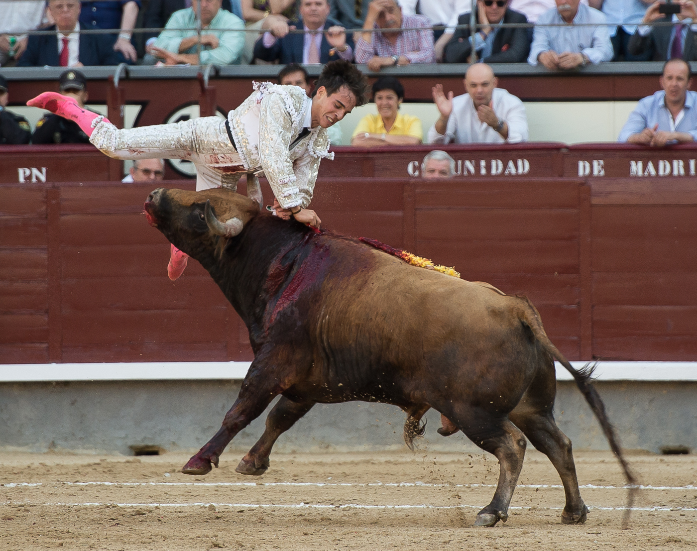 El Paseillo: La foto del día