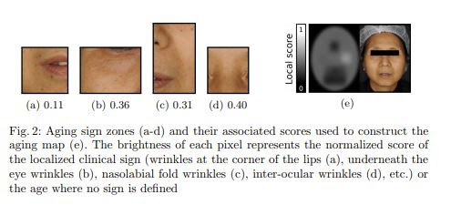 Data Science, Database, AI Startups and Domain Learning's (Video-Image ...