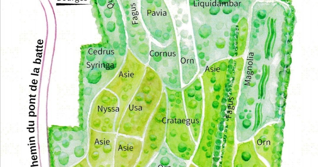 ARBORETUM ADELINE: PLAN DE L'ARBORETUM ET MODE DE PRESENTATION