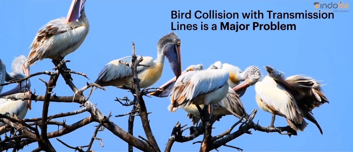 Bird Diverter | Bird Flapper/Reflector | IndoDivert – Bird Flight ...