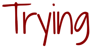 Life As Kim: This week my Word of the Week is: Trying! #WotW