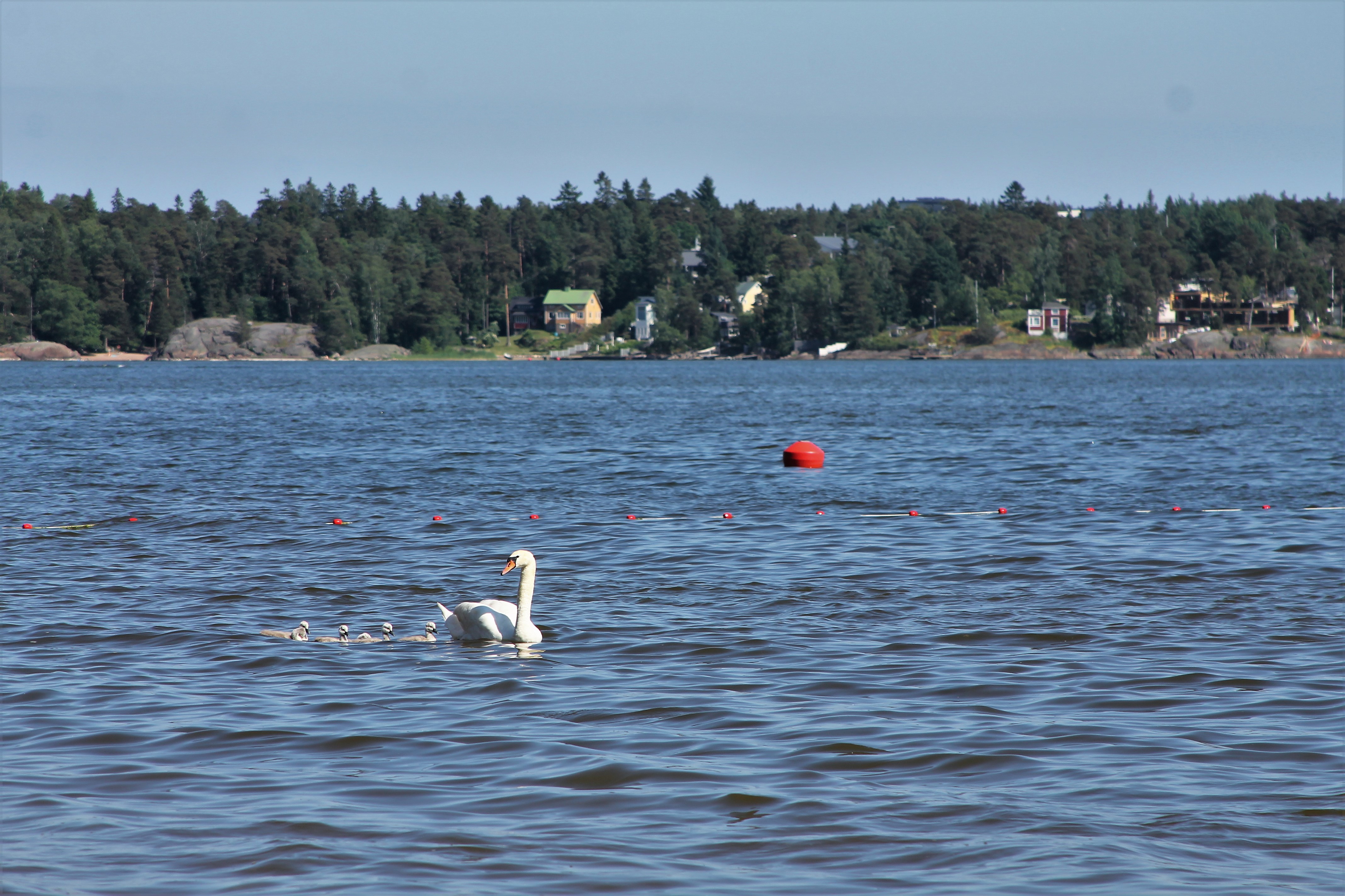 Minkun Matkassa: Mustikkamaa