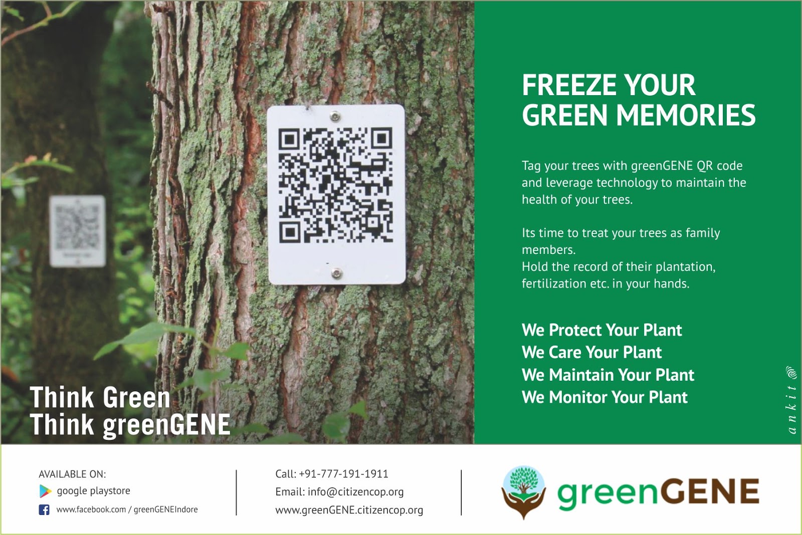 What is the Utility of QR Codes to Identify a Tree?
