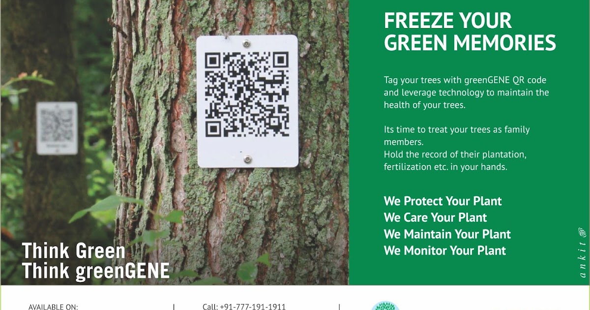 What is the Utility of QR Codes to Identify a Tree?
