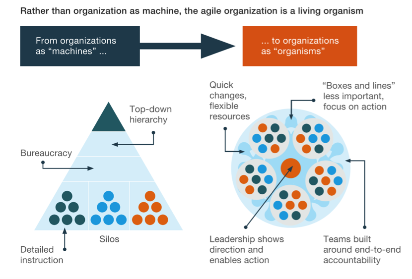 Dave Ulrich: The Market Oriented Ecosystem (MOE) ~ Strategic Human ...