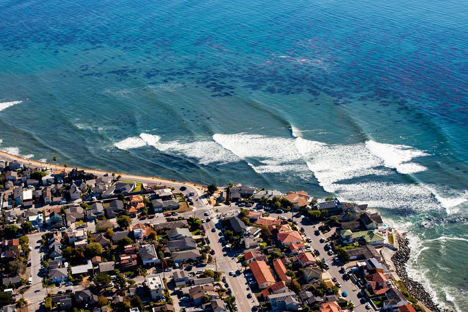 Forestdweller: Pleasure Point