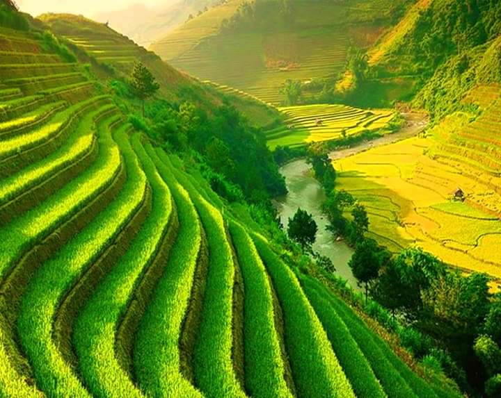 Majestic Rice Terraces Around The World