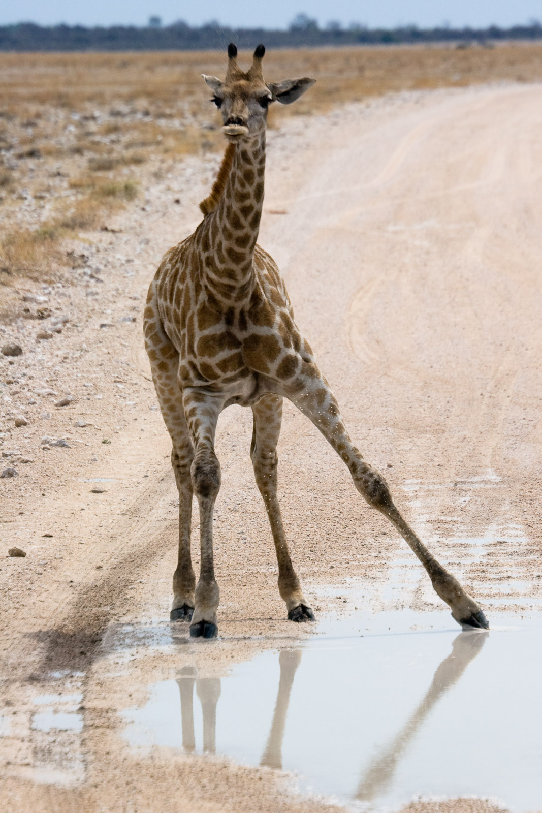 Linda Grimes: Visiting Reality : OMG, I'm a WHAT?