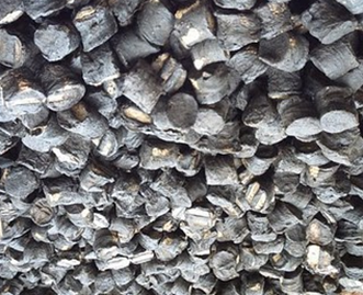 GAMBIER EXTRACT: Gambier Extract