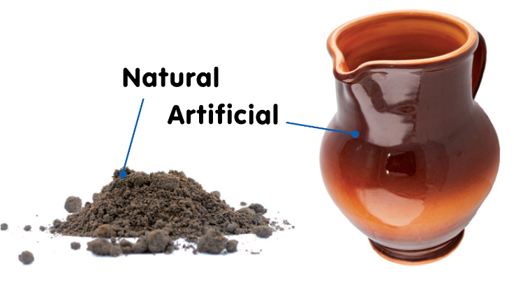 El blog de 3º: Cono 1. El mundo y los seres vivos