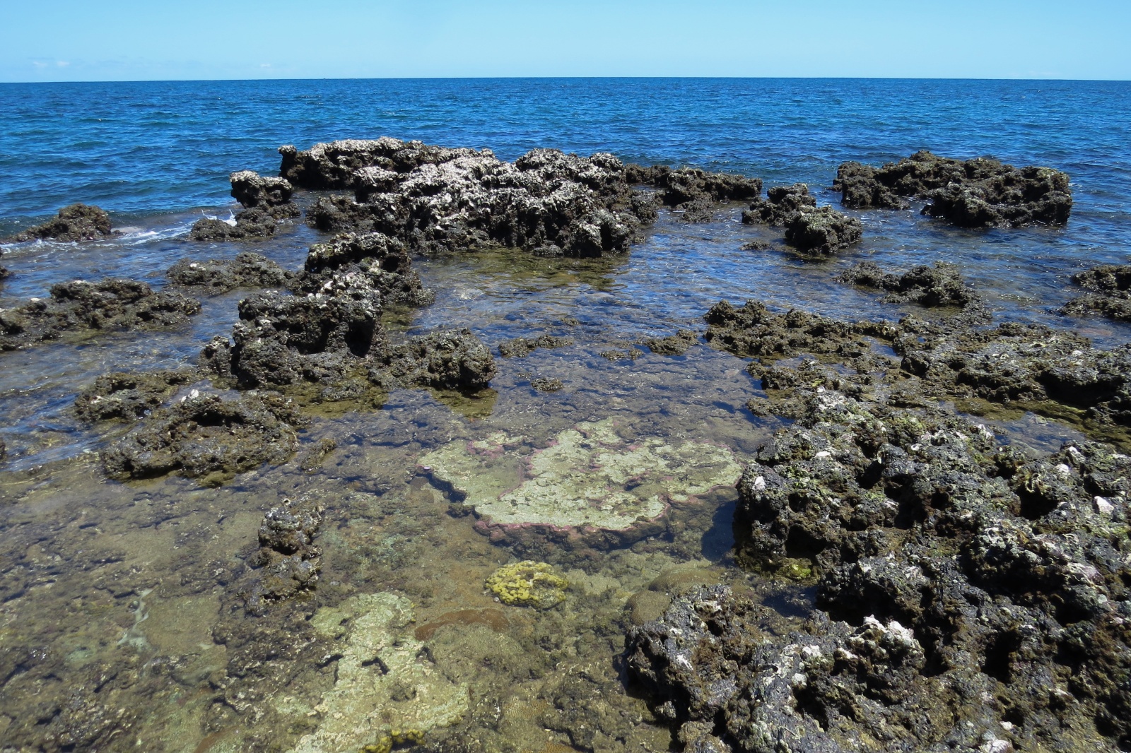 Queensland Coast: Volcanic Reefs of Mission Beach