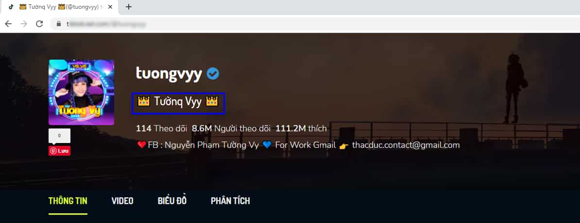 vyyy 👑 là ai, là gì? Câu trả lời đúng nhất! - wowhay