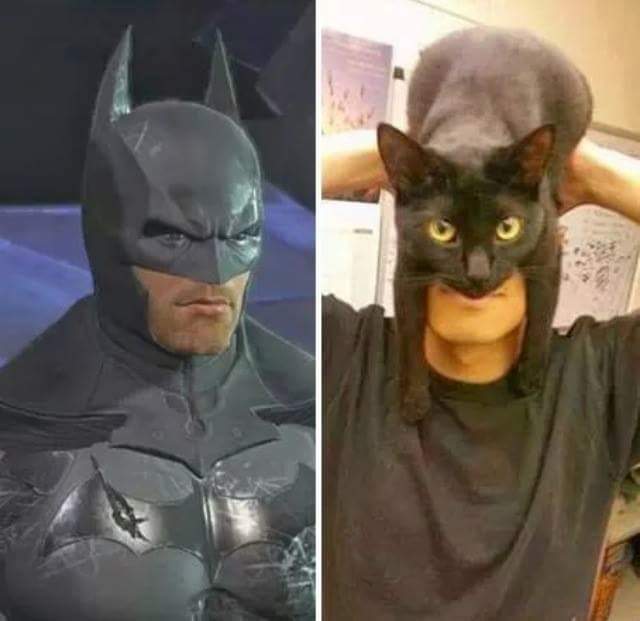 Anda Boleh jadi Batman dengan kucing hitam.