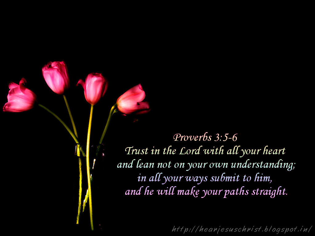 Proverbs 27 5 6