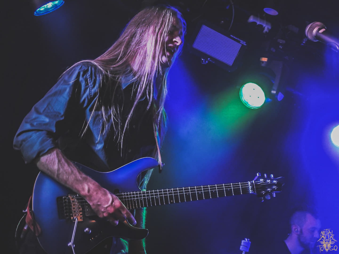 Feather Mountain: Nidus (Album review)