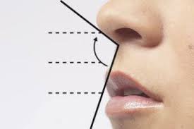 Conseils et astuces beauté et santé: Y AT-IL UN NEZ PARFAIT