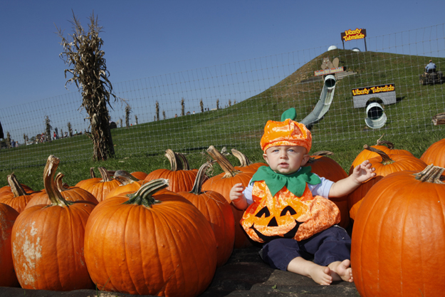 Fall Fever: Top 10 Fall Festivals ~ Party Mosaic