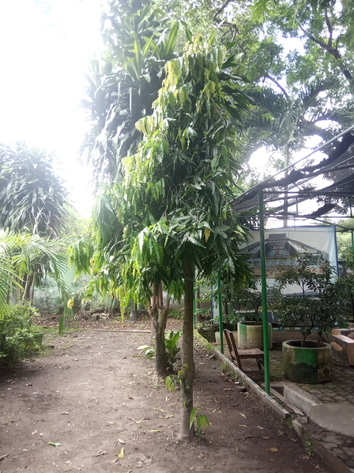 SEKOLAH INSPIRATIF JOMBANG: GLODOKAN TIANG