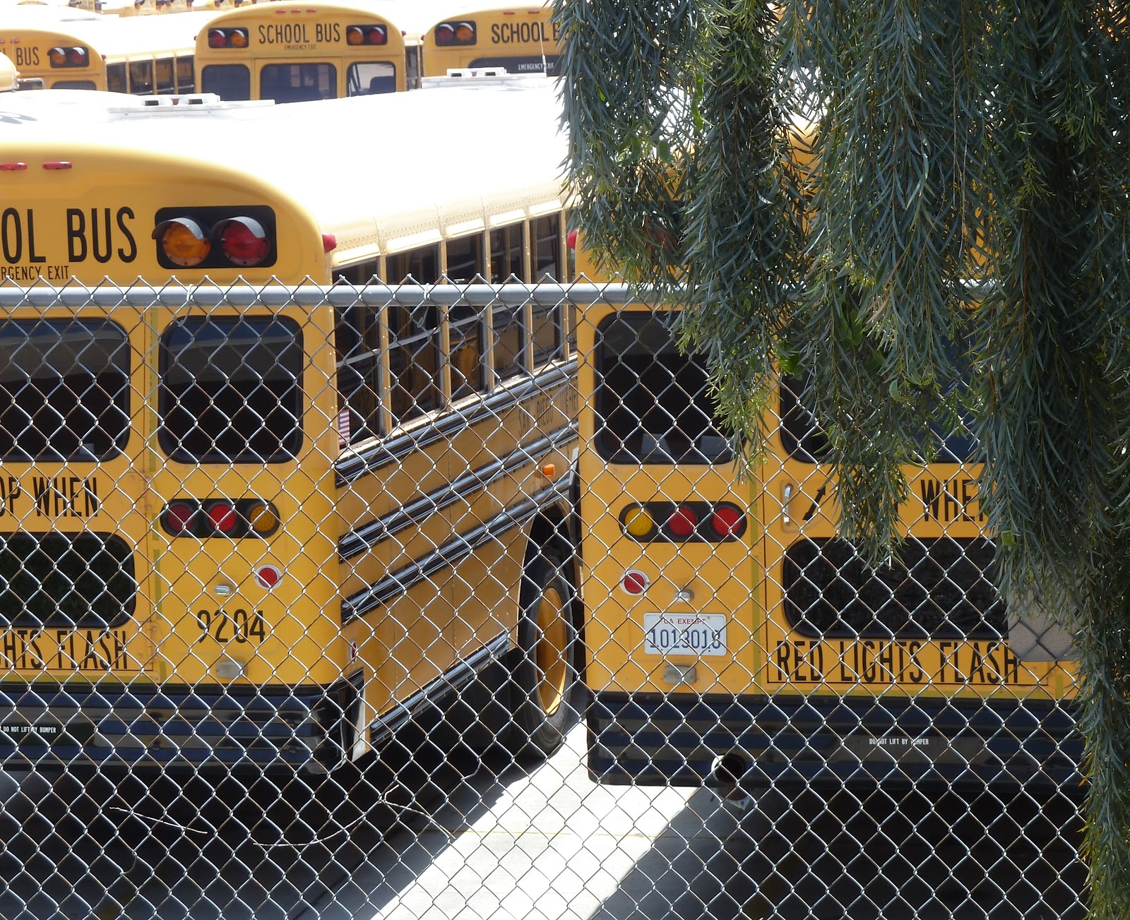 Observations: School Bus Lot